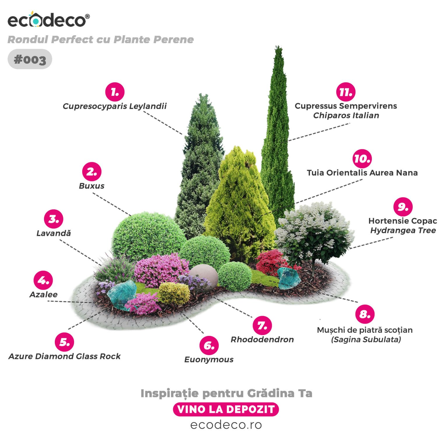 Idei amenajare gradini cu flori, plante si piatra decorativa - EcoDeco